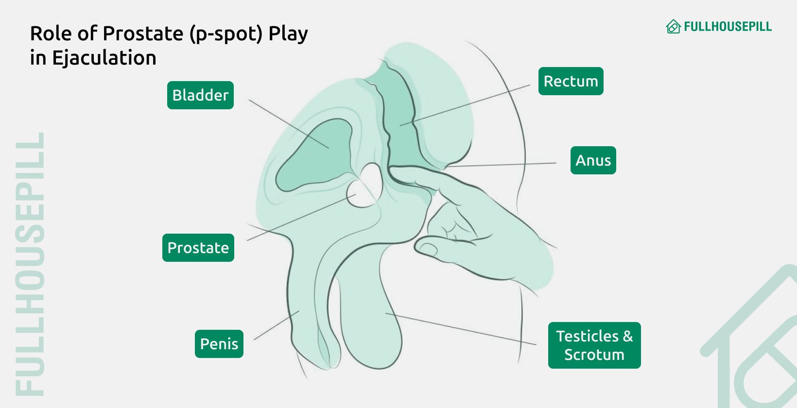 Ejaculation without Erection: Why It Happens & How To Treat